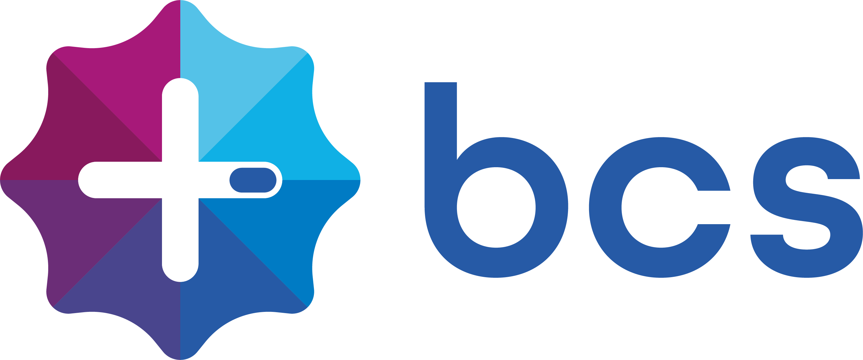 Over BCS HR Software